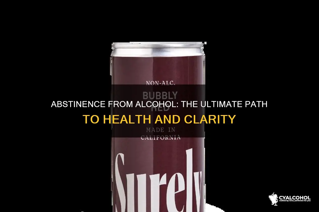 Abstinence From Alcohol: The Ultimate Path To Health And Clarity ...