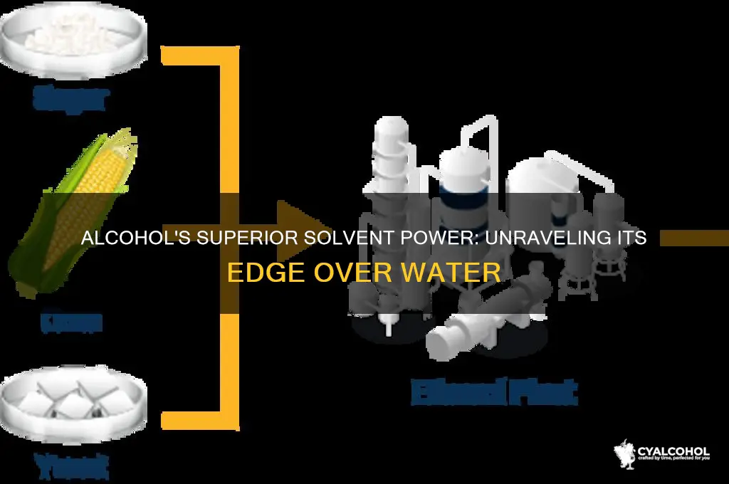 Alcohol's Superior Solvent Power: Unraveling Its Edge Over Water ...