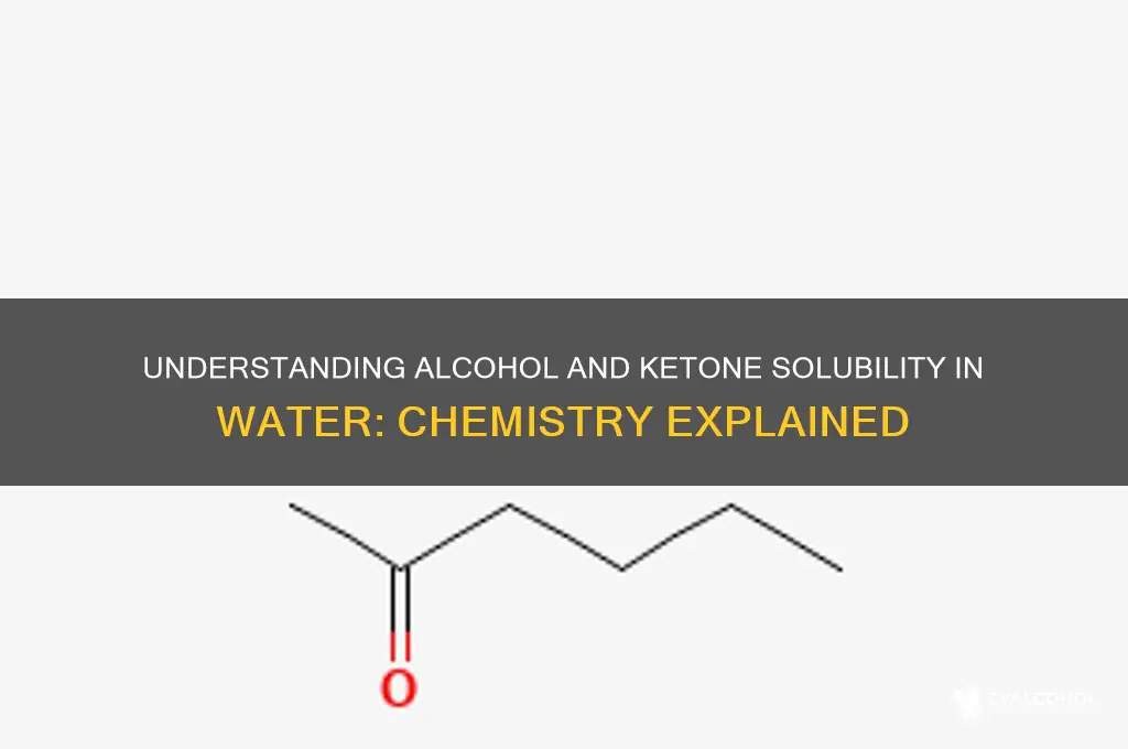 Understanding Alcohol And Ketone Solubility In Water: Chemistry ...