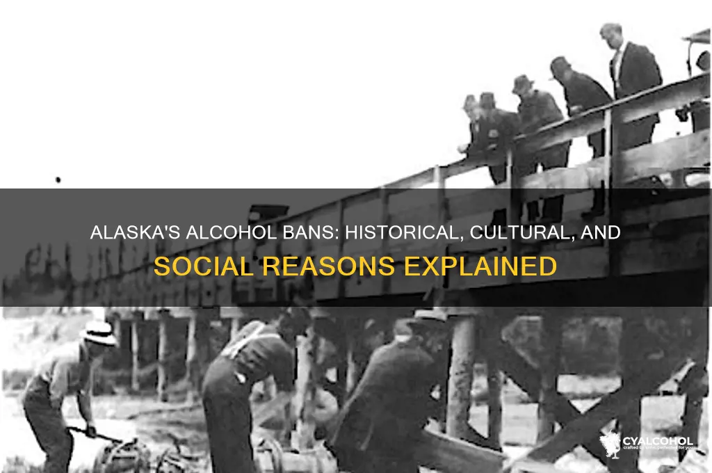 Alaska's Alcohol Bans: Historical, Cultural, And Social Reasons ...