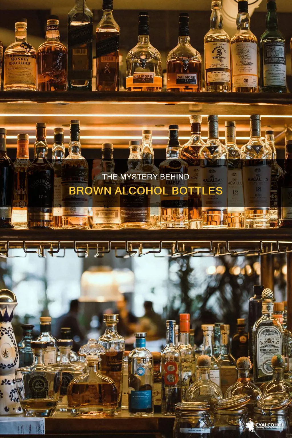 The Mystery Behind Brown Alcohol Bottles | CyAlcohol