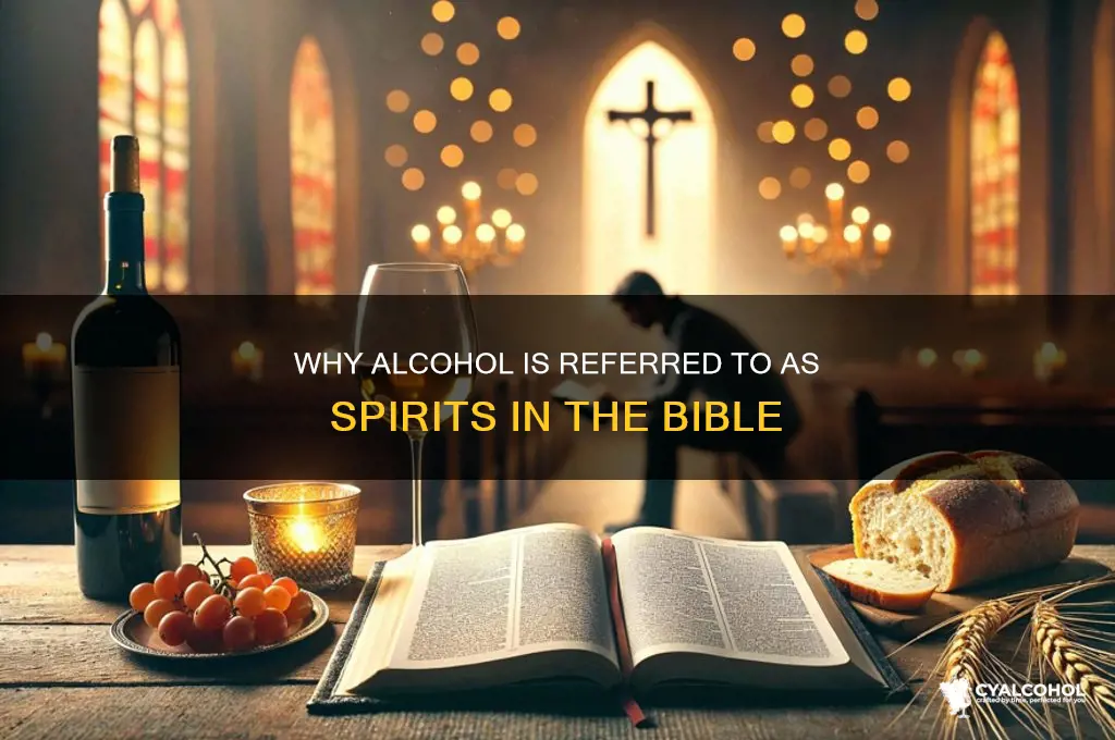 Why Alcohol Is Referred To As Spirits In The Bible | CyAlcohol