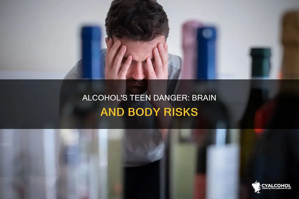 Alcohol's Teen Danger: Brain And Body Risks | CyAlcohol