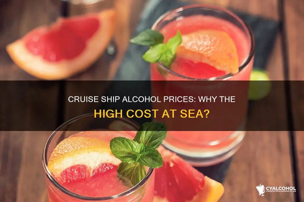 Cruise Ship Alcohol Prices: Why The High Cost At Sea? | CyAlcohol
