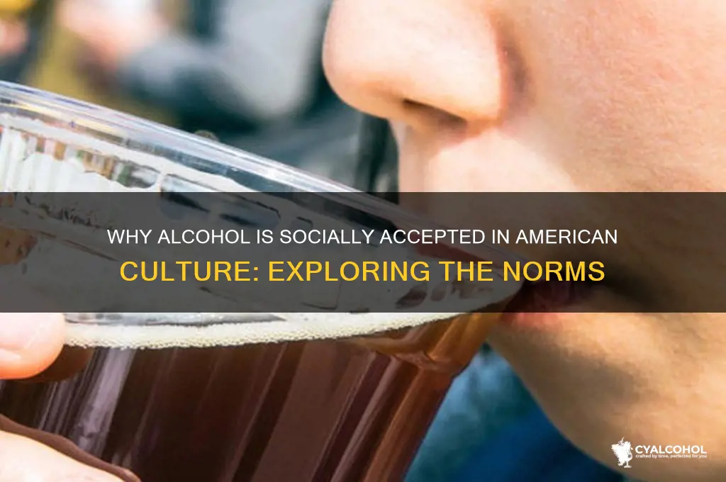 Why Alcohol Is Socially Accepted In American Culture: Exploring The ...