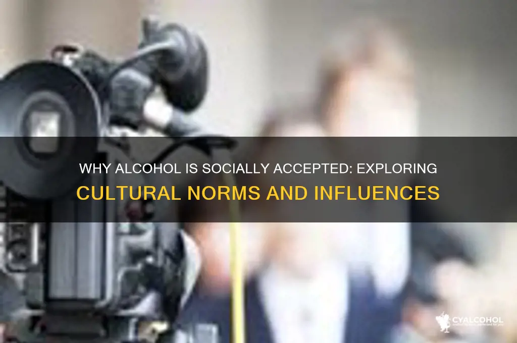 Why Alcohol Is Socially Accepted: Exploring Cultural Norms And ...