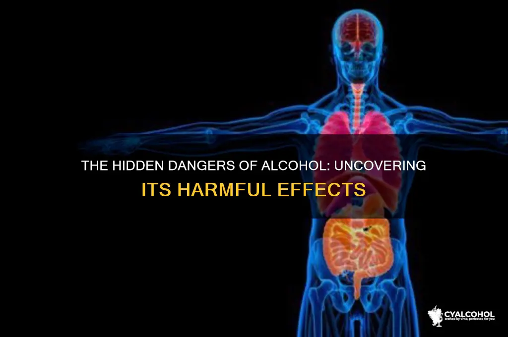 The Hidden Dangers Of Alcohol: Uncovering Its Harmful Effects | CyAlcohol