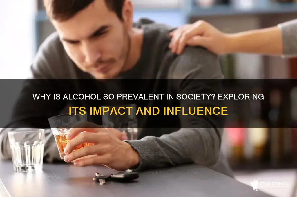 Why Is Alcohol So Prevalent In Society? Exploring Its Impact And ...