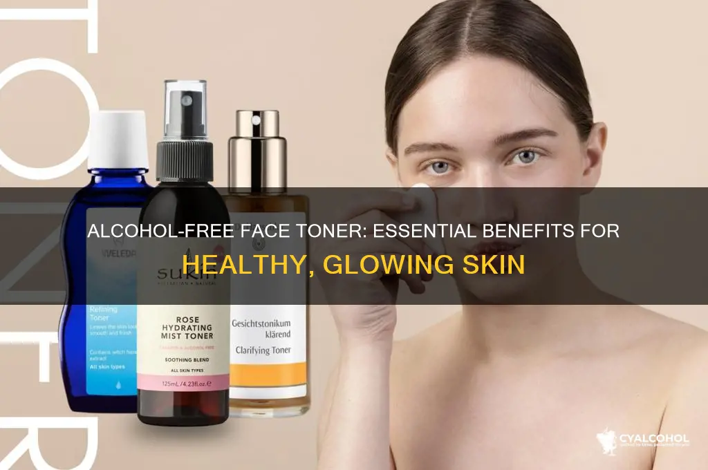 Alcohol-Free Face Toner: Essential Benefits For Healthy, Glowing Skin ...
