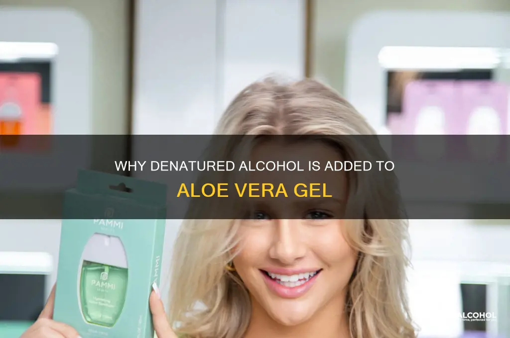 Why Denatured Alcohol Is Added To Aloe Vera Gel | CyAlcohol