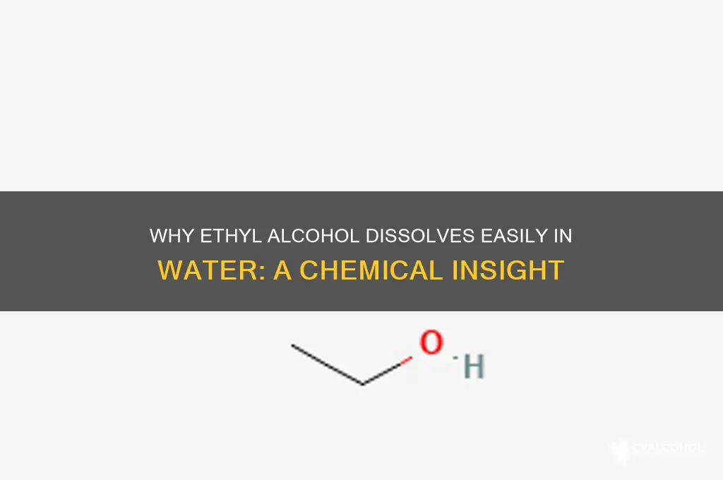 Why Ethyl Alcohol Dissolves Easily In Water: A Chemical Insight | CyAlcohol
