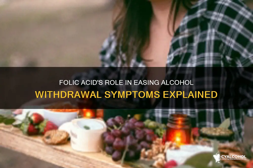 Folic Acid's Role In Easing Alcohol Withdrawal Symptoms Explained ...