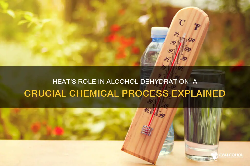 Heat's Role In Alcohol Dehydration: A Crucial Chemical Process ...