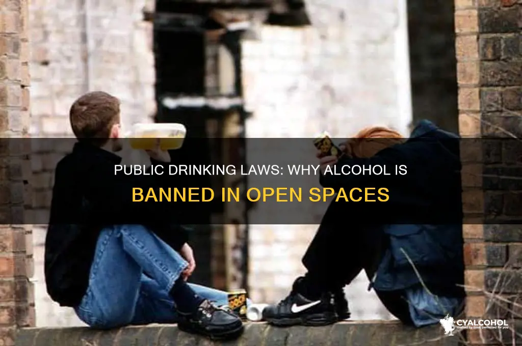 Public Drinking Laws: Why Alcohol Is Banned In Open Spaces | CyAlcohol