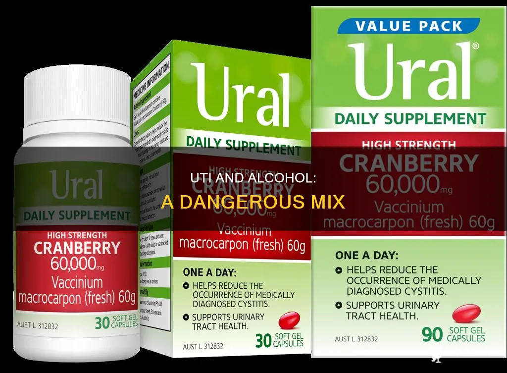 Uti And Alcohol: A Dangerous Mix | CyAlcohol
