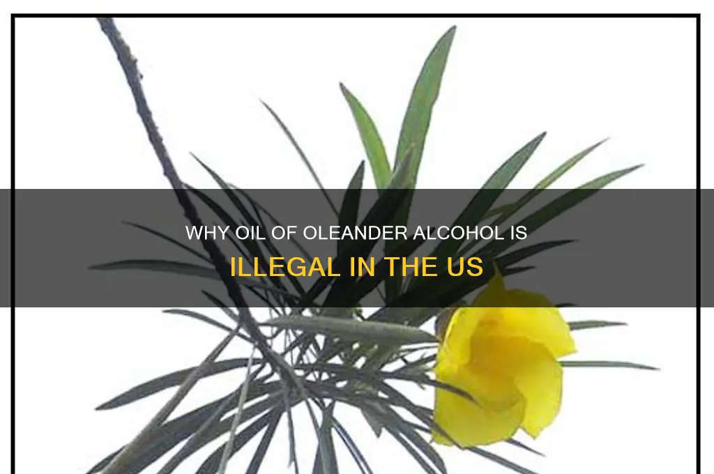 Why Oil Of Oleander Alcohol Is Illegal In The Us | CyAlcohol