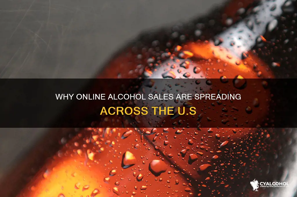 Why Online Alcohol Sales Are Spreading Across The U.S | CyAlcohol