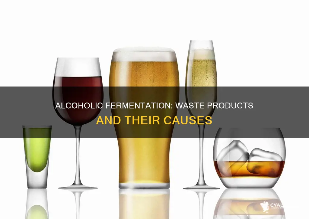 Alcoholic Fermentation: Waste Products And Their Causes | CyAlcohol