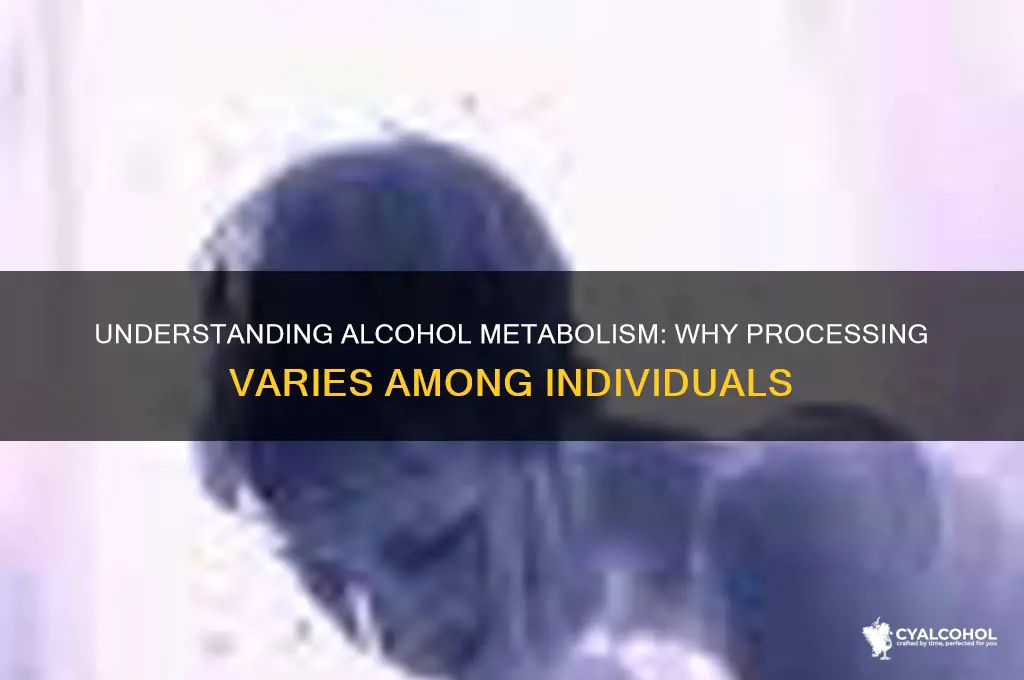 Understanding Alcohol Metabolism: Why Processing Varies Among ...