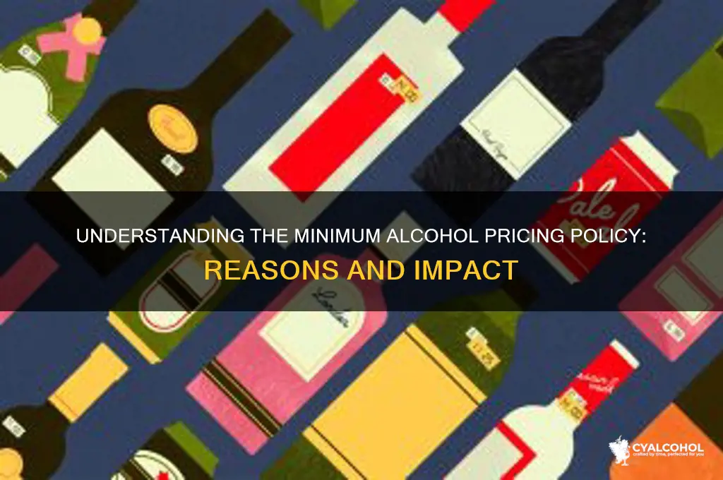Understanding The Minimum Alcohol Pricing Policy: Reasons And Impact ...