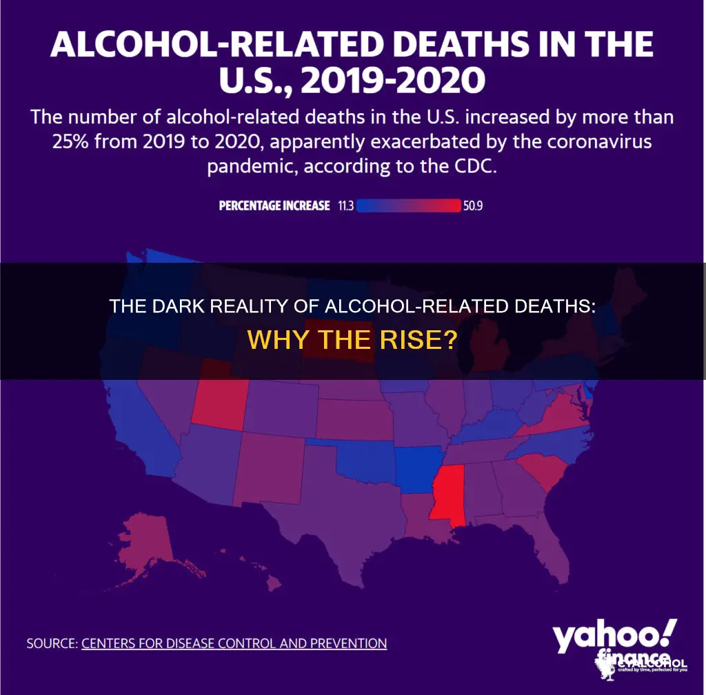 The Dark Reality Of Alcohol-Related Deaths: Why The Rise? | CyAlcohol