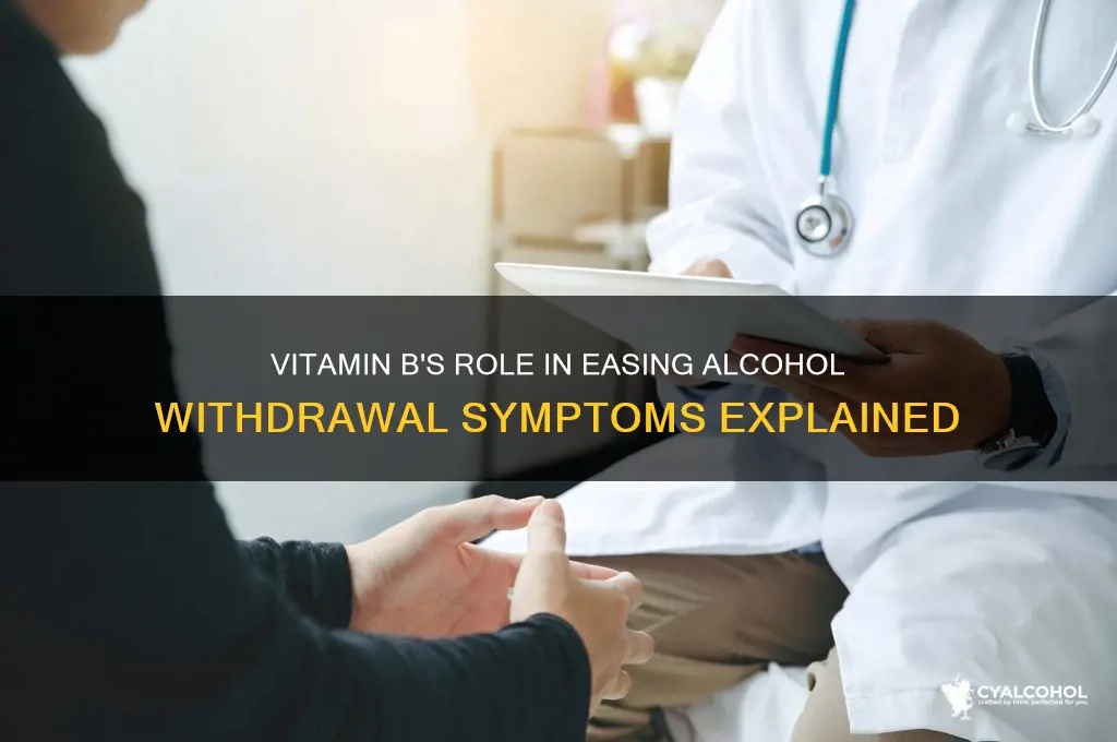 Vitamin B's Role In Easing Alcohol Withdrawal Symptoms Explained ...
