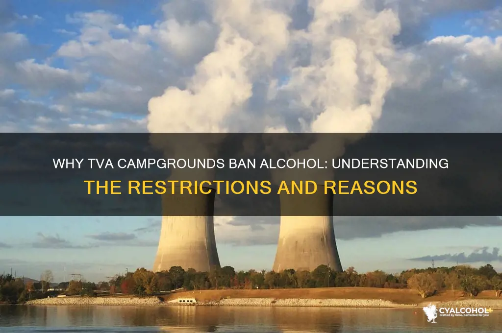 Why Tva Campgrounds Ban Alcohol: Understanding The Restrictions And ...