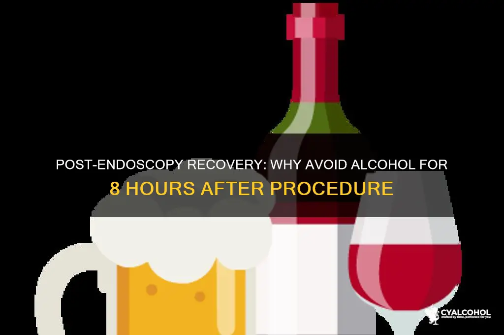 Post-Endoscopy Recovery: Why Avoid Alcohol For 8 Hours After Procedure ...