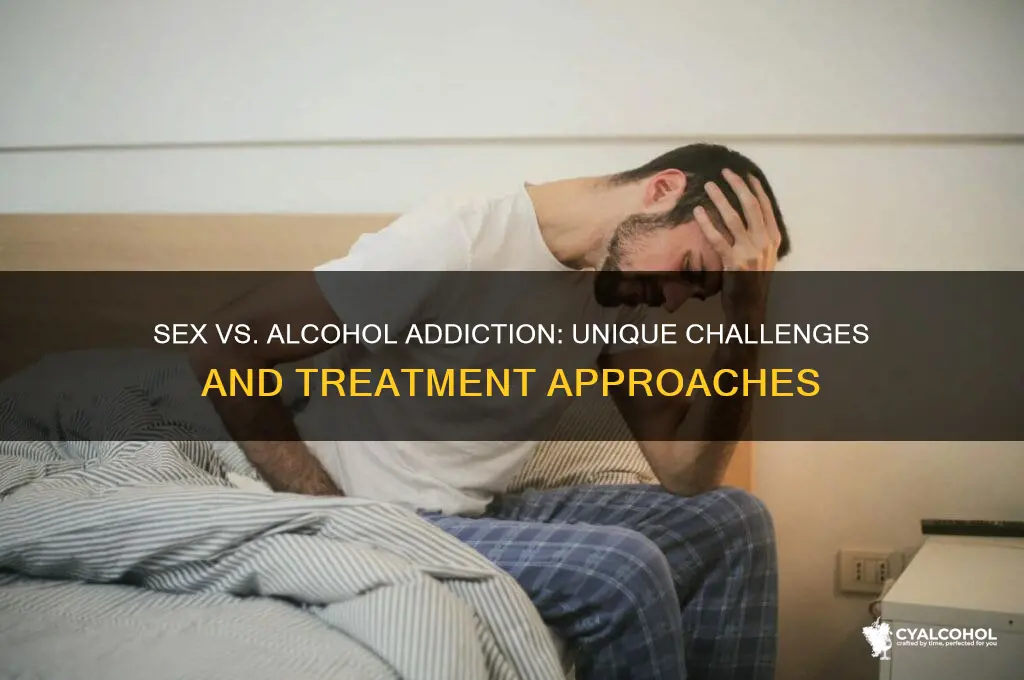 Sex Vs. Alcohol Addiction: Unique Challenges And Treatment Approaches ...