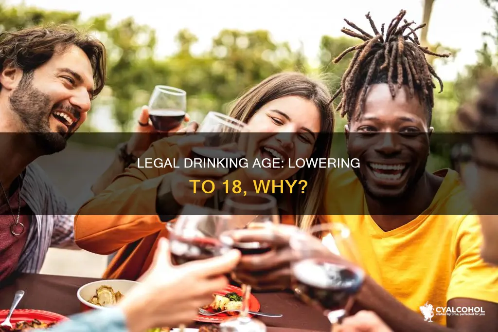 Legal Drinking Age: Lowering To 18, Why? | CyAlcohol