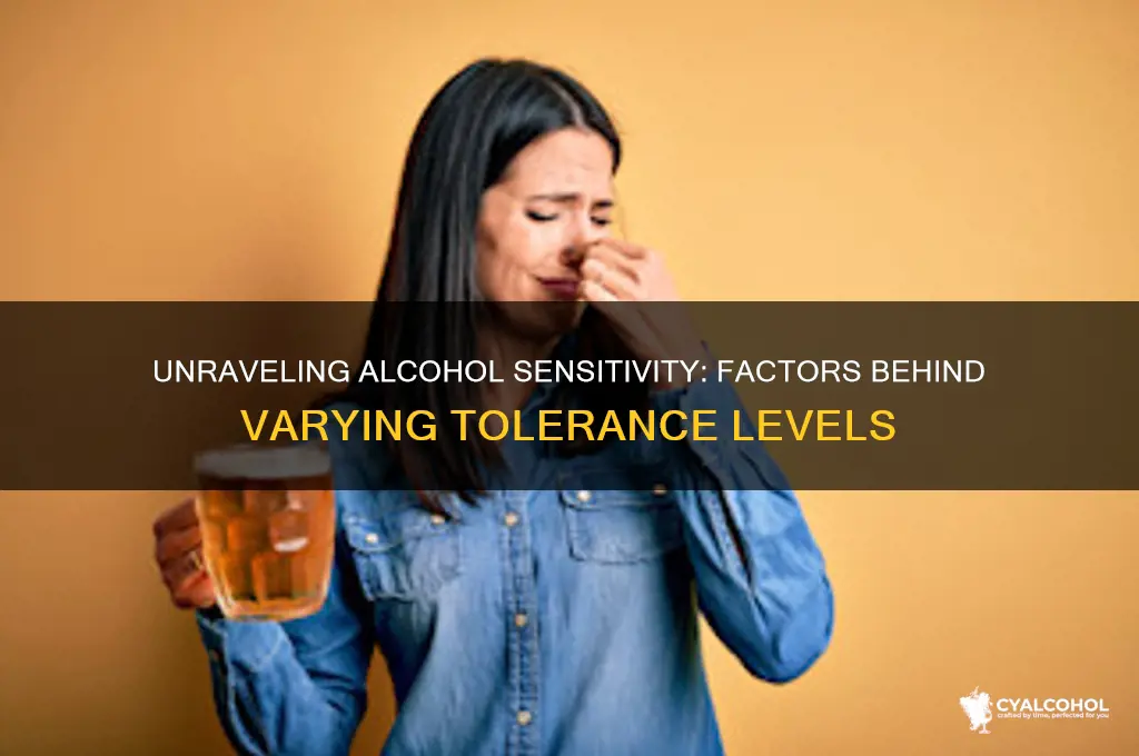 Unraveling Alcohol Sensitivity: Factors Behind Varying Tolerance Levels ...