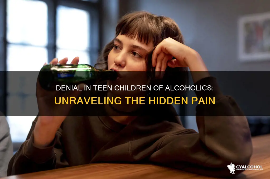 Denial In Teen Children Of Alcoholics: Unraveling The Hidden Pain ...