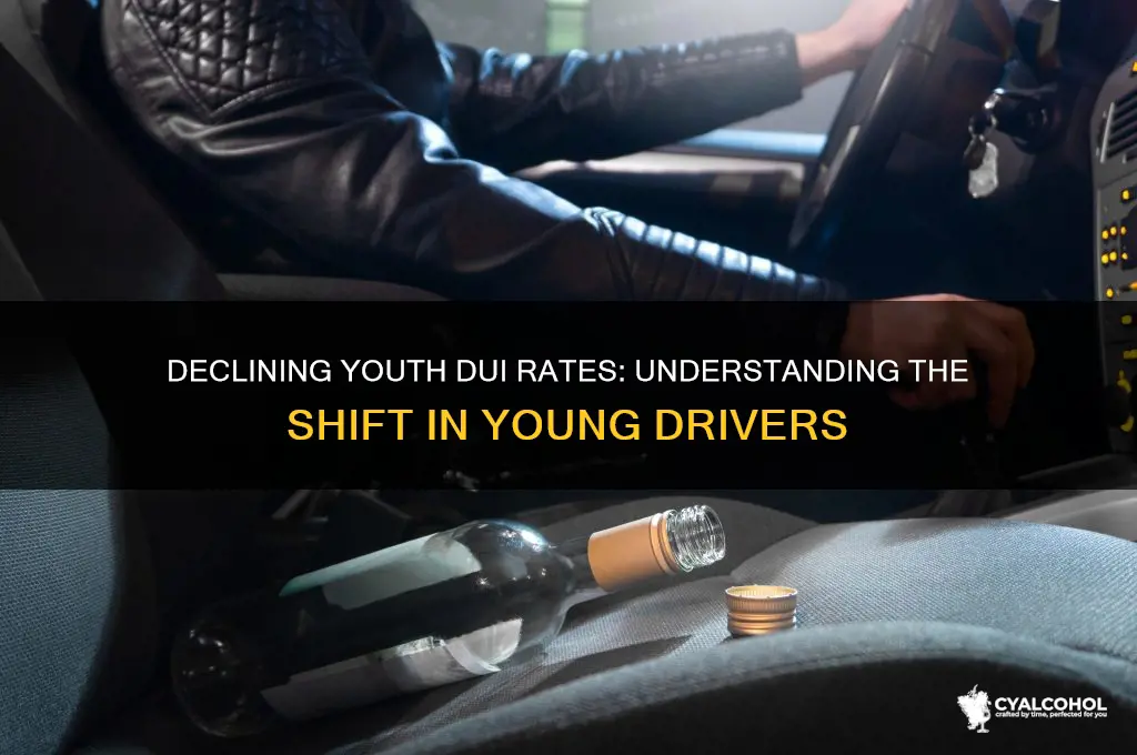 Declining Youth Dui Rates: Understanding The Shift In Young Drivers ...