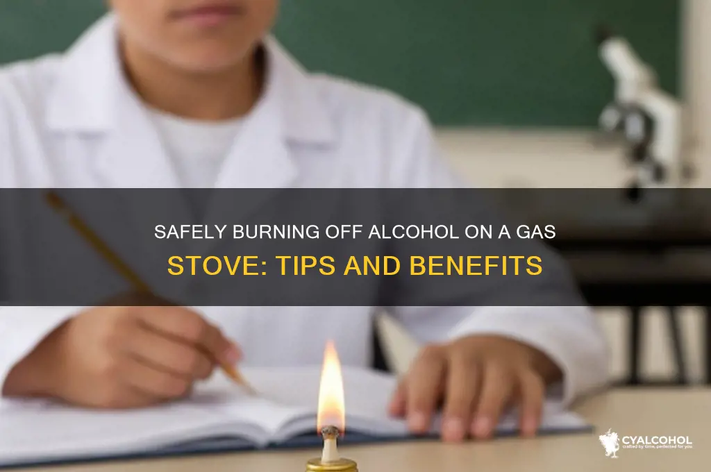 Safely Burning Off Alcohol On A Gas Stove: Tips And Benefits | CyAlcohol