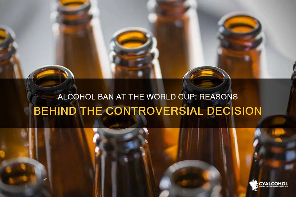 Alcohol Ban At The World Cup: Reasons Behind The Controversial Decision ...