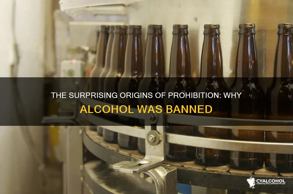 The Surprising Origins Of Prohibition: Why Alcohol Was Banned | CyAlcohol