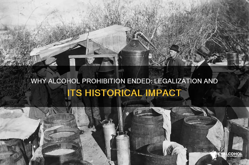 Why Alcohol Prohibition Ended: Legalization And Its Historical Impact ...