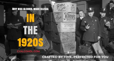 Prohibition's Dark Side: How Alcohol Became A 1920S Crisis | CyAlcohol