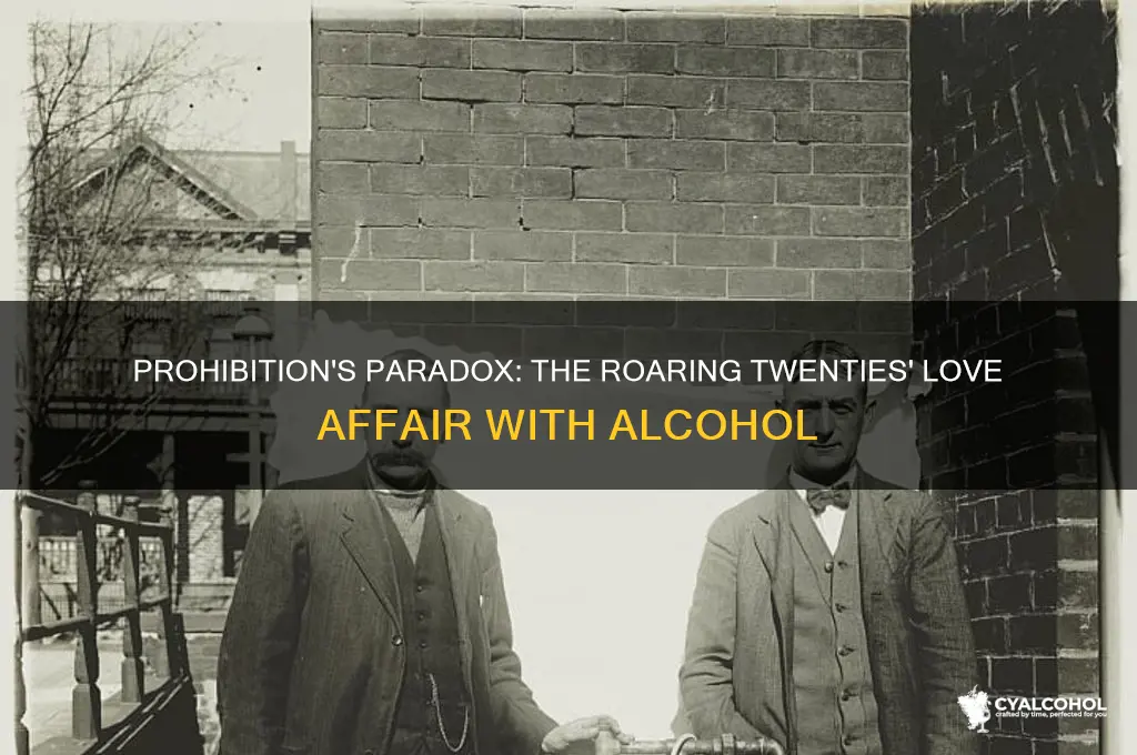 Prohibition's Paradox: The Roaring Twenties' Love Affair With Alcohol ...