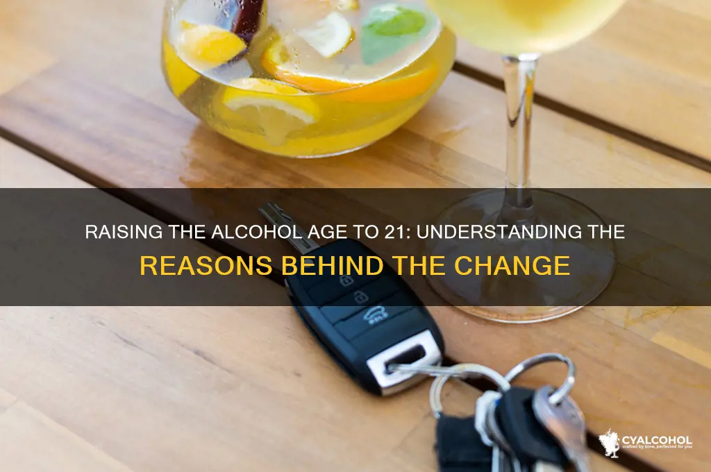 Raising The Alcohol Age To 21: Understanding The Reasons Behind The ...