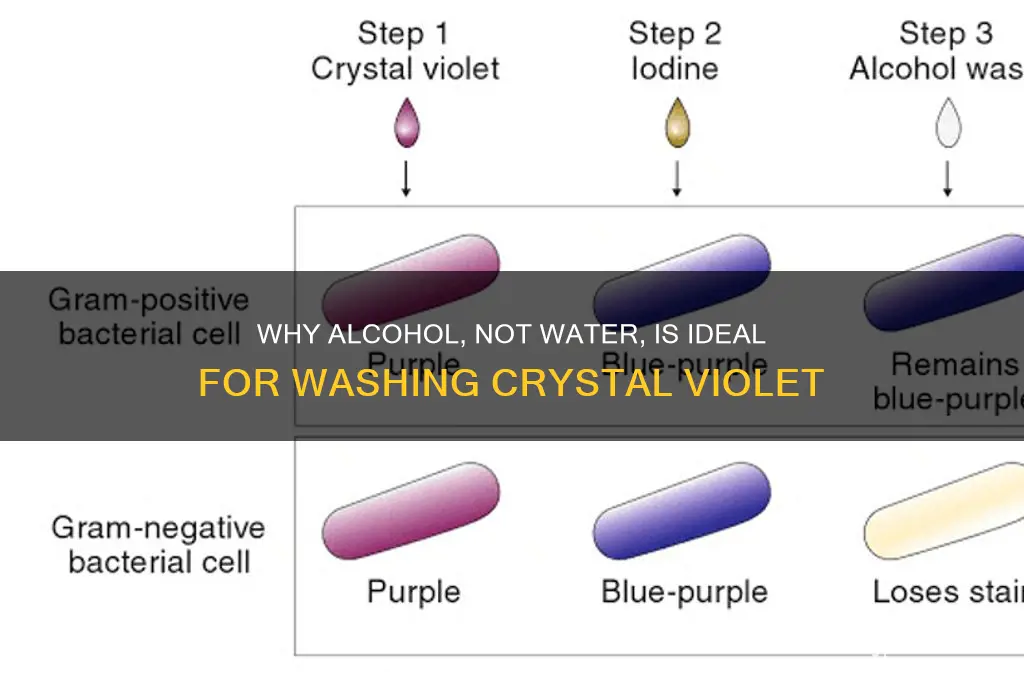 Why Alcohol, Not Water, Is Ideal For Washing Crystal Violet | CyAlcohol