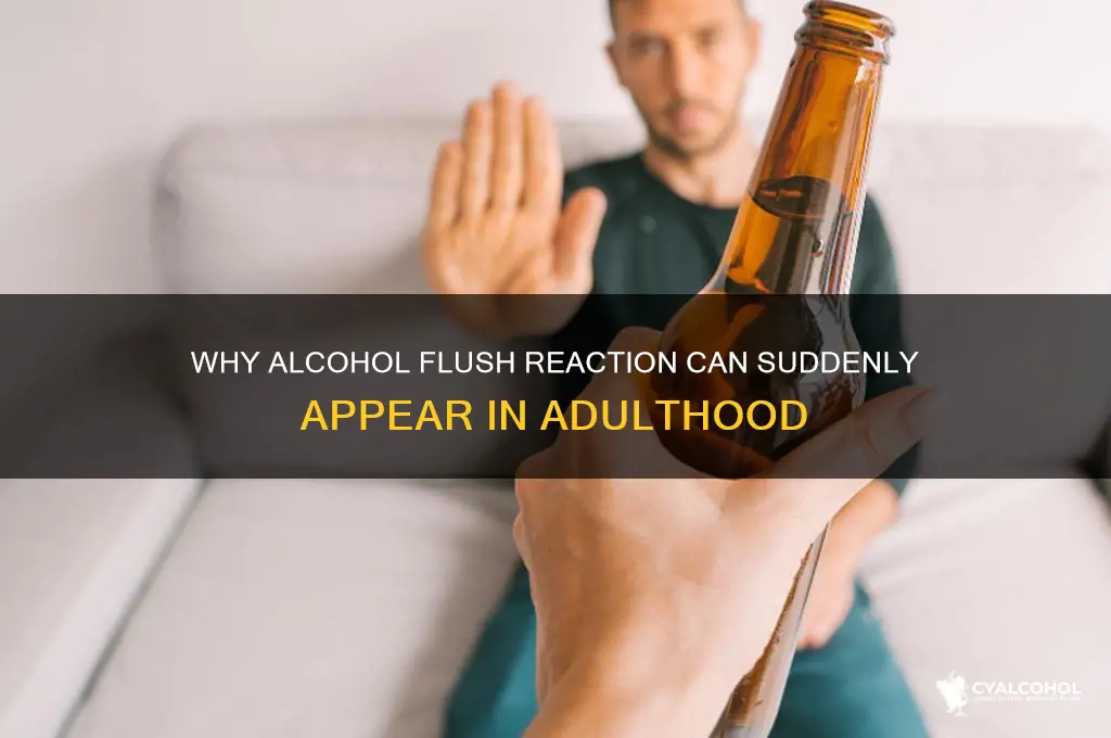 Why Alcohol Flush Reaction Can Suddenly Appear In Adulthood | CyAlcohol