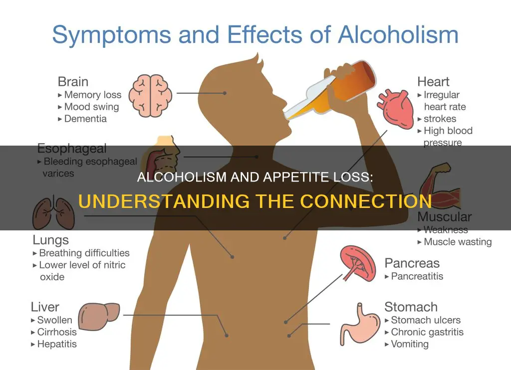 Alcoholism And Appetite Loss: Understanding The Connection | CyAlcohol