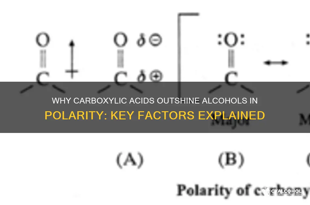 Why Carboxylic Acids Outshine Alcohols In Polarity: Key Factors ...