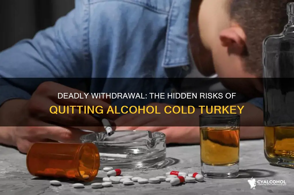 Deadly Withdrawal: The Hidden Risks Of Quitting Alcohol Cold Turkey ...