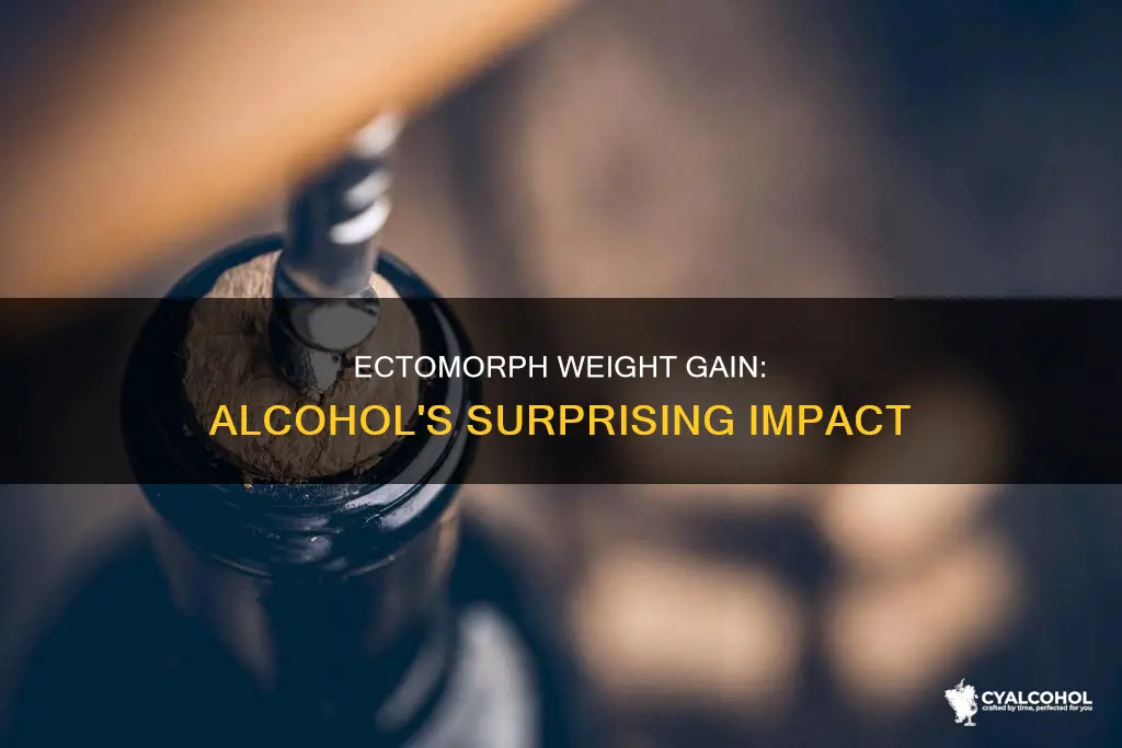 Ectomorph Weight Gain: Alcohol's Surprising Impact | CyAlcohol