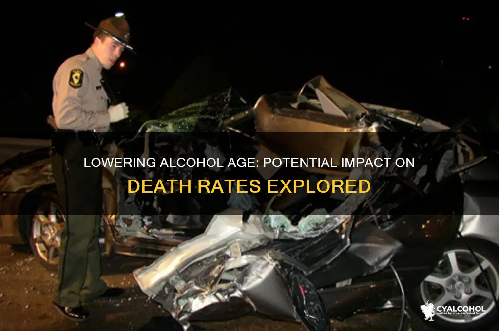 Lowering Alcohol Age: Potential Impact On Death Rates Explored | CyAlcohol