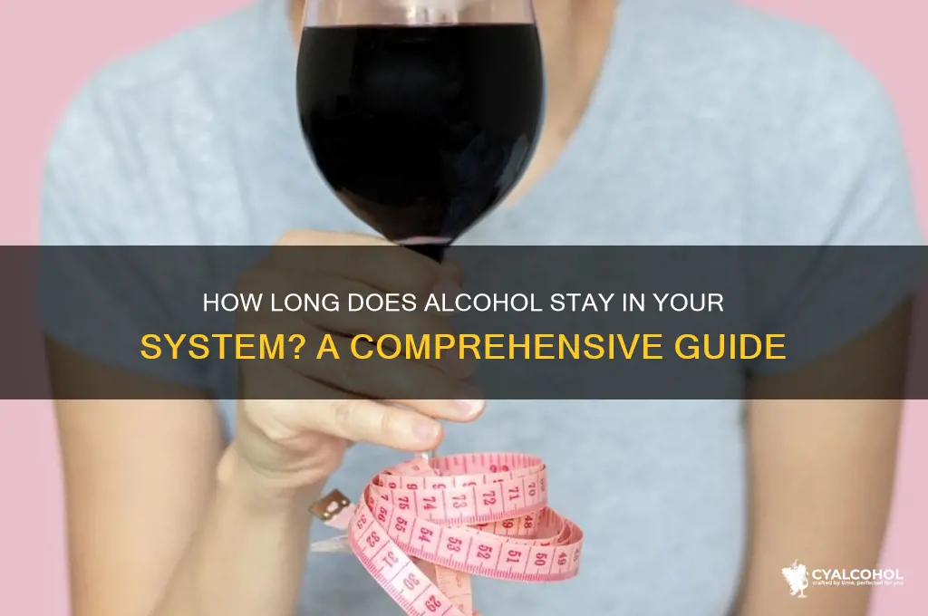 How Long Does Alcohol Stay In Your System? A Comprehensive Guide ...