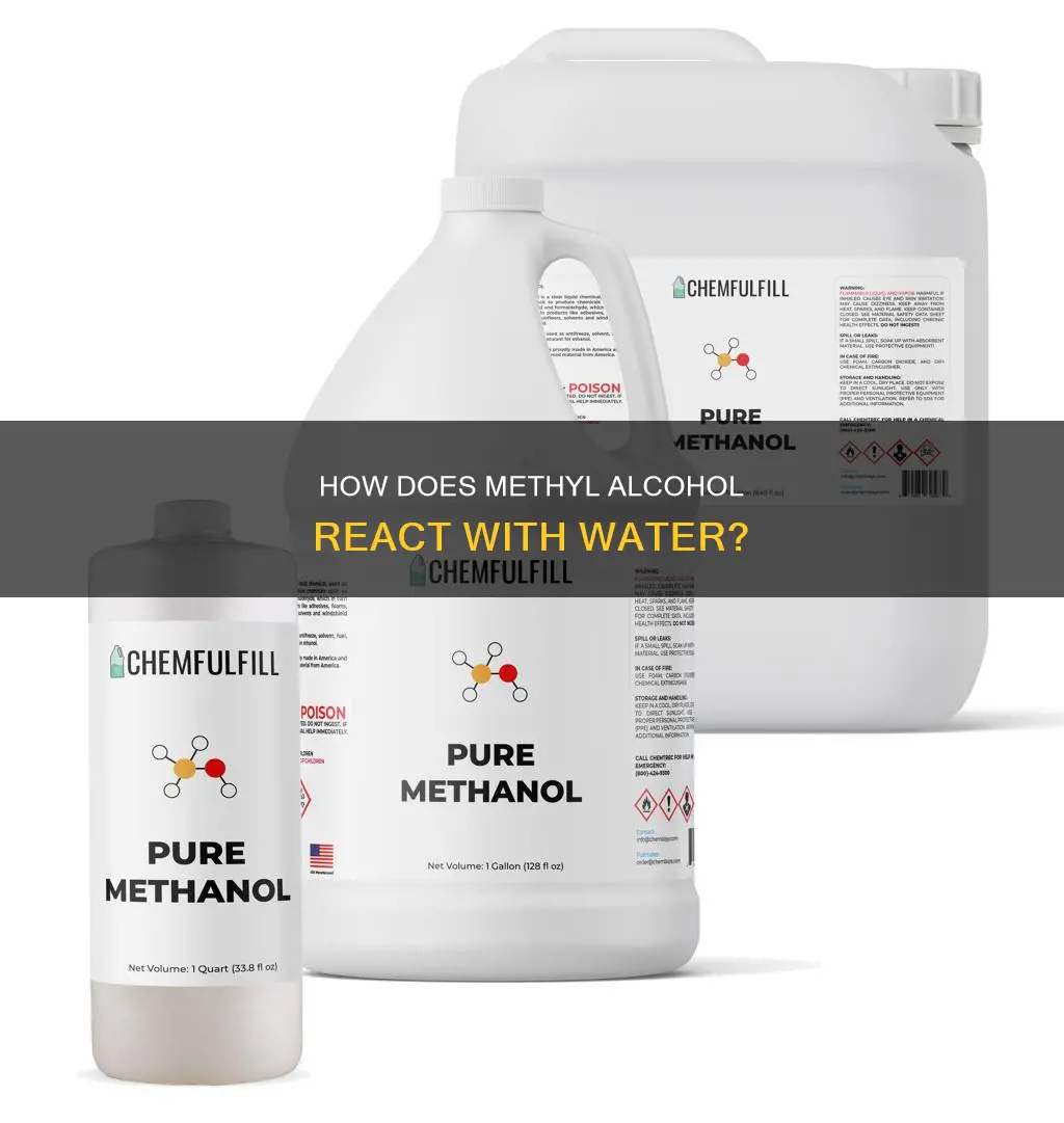 How Does Methyl Alcohol React With Water? | CyAlcohol